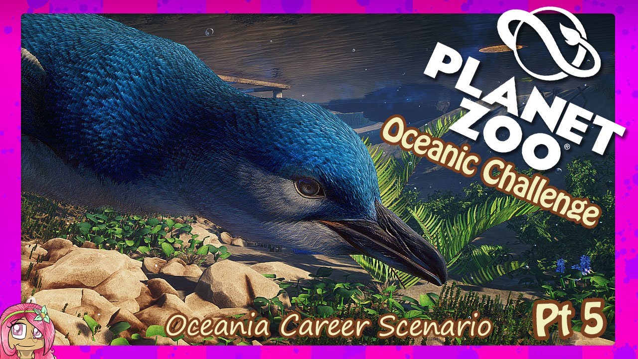 Little Penguin Habitat | Planet Zoo | Oceania Career Scenario - YouTube