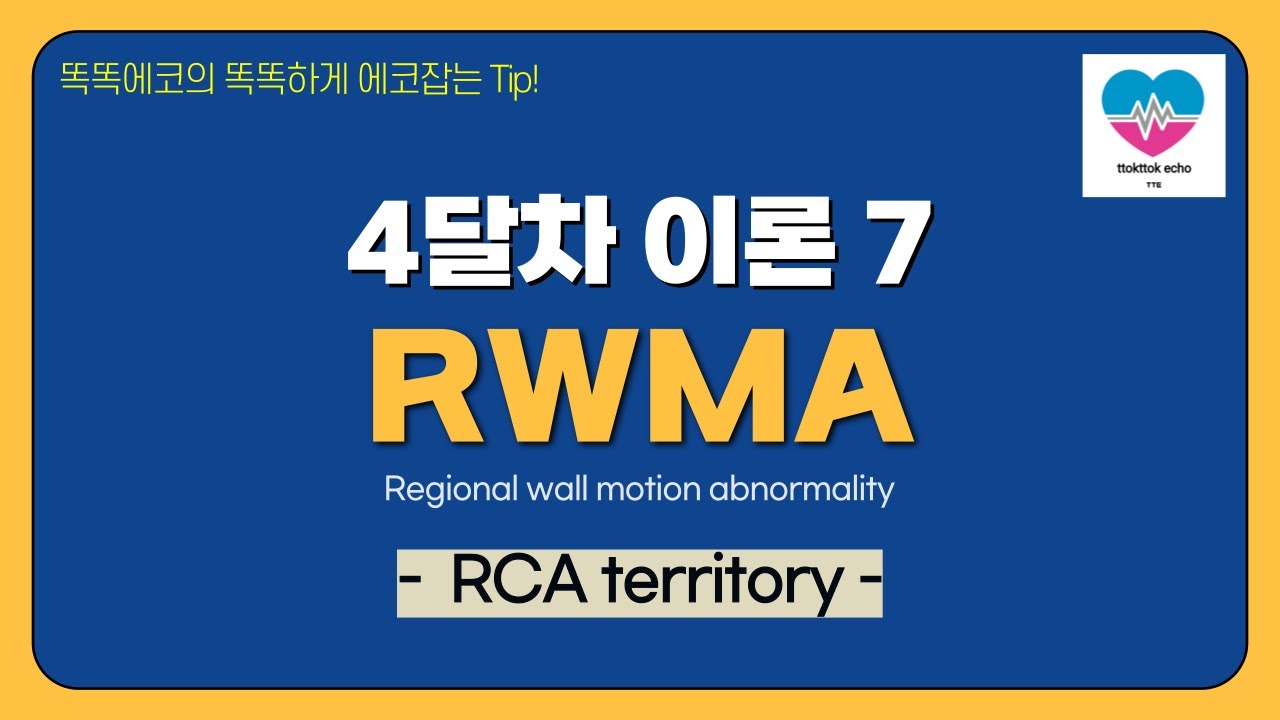 RCA territory #echocardiography #심장초음파 #heart #echo view # ...