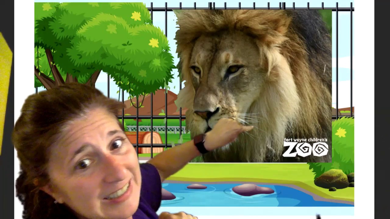 Going to the Zoo - Green Screen - YouTube