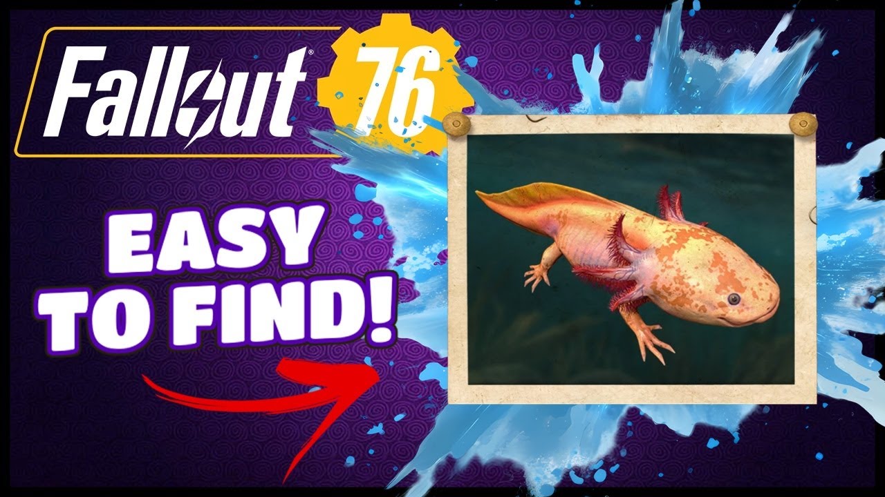 Where To Find The Speckled Axolotl - Fallout 76 - YouTube