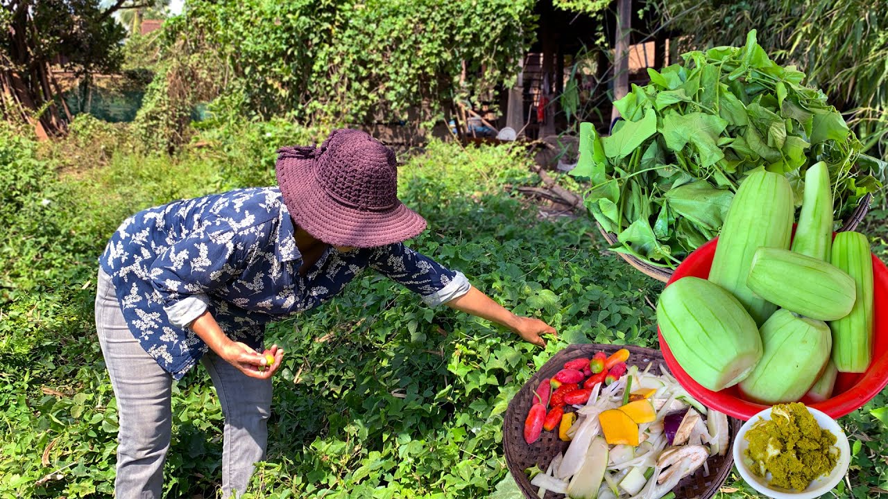 Cooking 2 different dishes of luffa gourd - Simple and easy luffa gourd ...