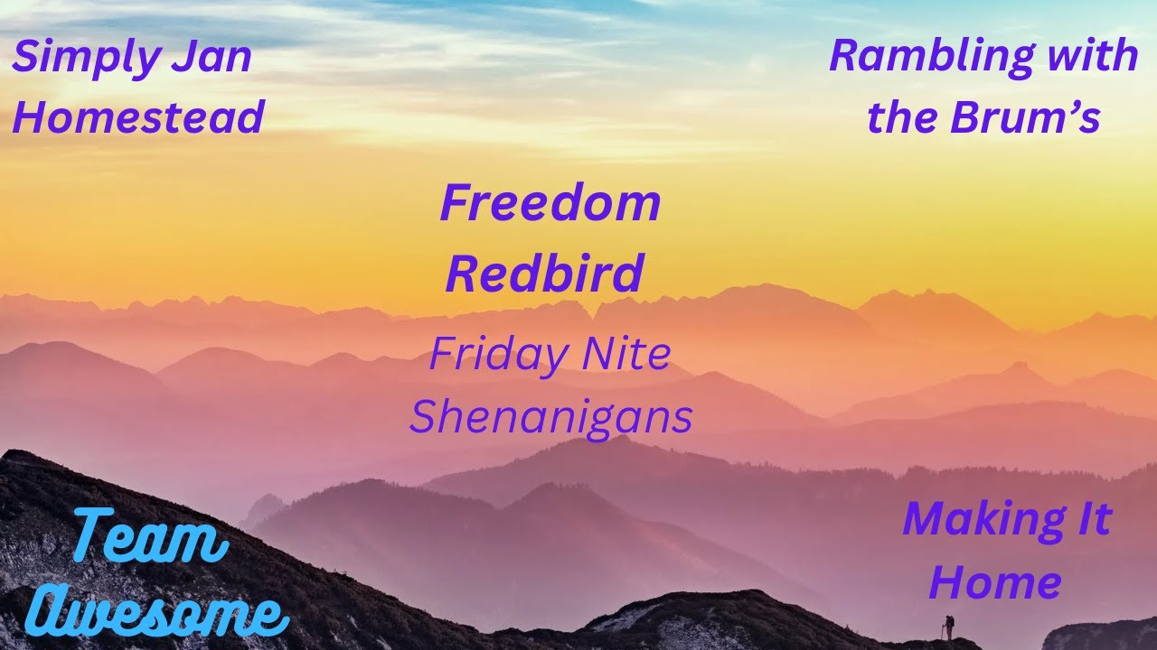 Friday Nite Shenanigans! - YouTube