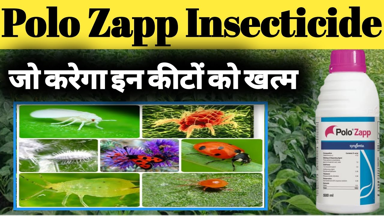 Polo Zapp Insecticide Uses in Hindi।। Polo Zapp Insecticide Syngenta ...