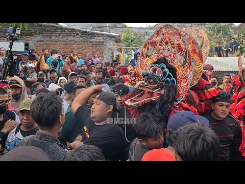 Dibubarkan‼️ Barongan Jaranan New Satrio Anom Live Patianrowo Nganjuk