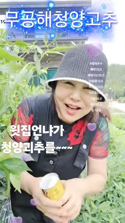 즐해피데이 동내언냐가 청양고추와가지를 Youtube