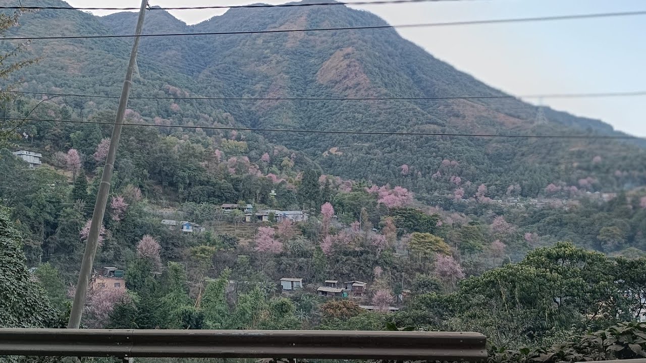 MANIPUR CHERRY BLOSSOM CUM FLOWER FESTIVAL #2022 AT MAO GATE - YouTube