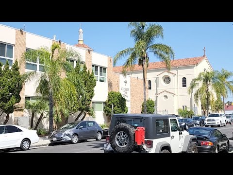 Shandoolie Sunday With #Eastlosaudits & PLA - YouTube