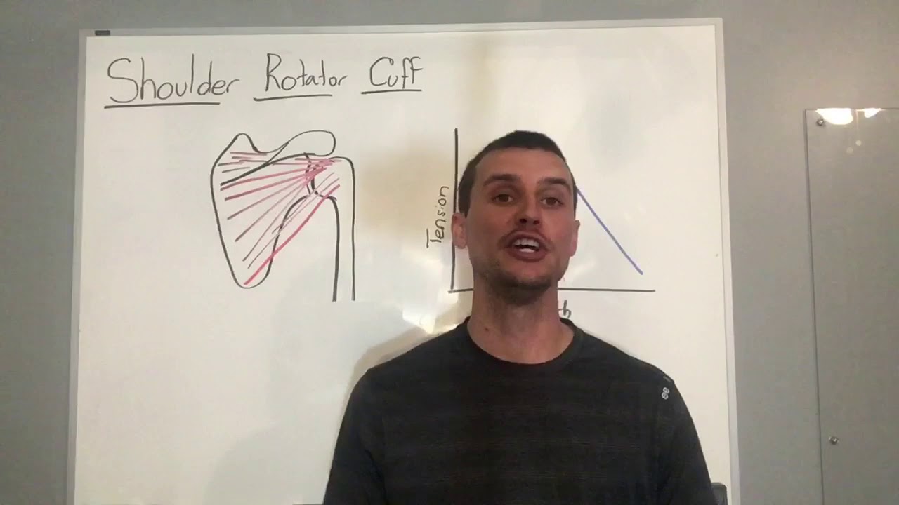 The Importance of Scapular Motion to Decrease Stress on the Rotator ...