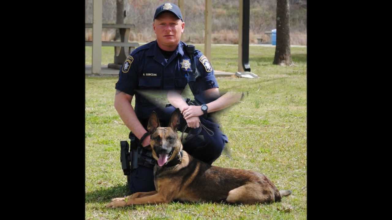 "Heat Alarms" - K9 Hero Movie 2012 - YouTube