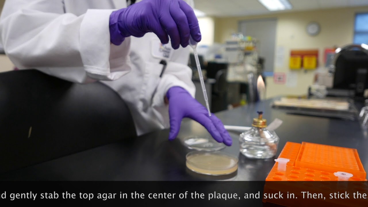 Pick a Plaque quick instructions! - YouTube