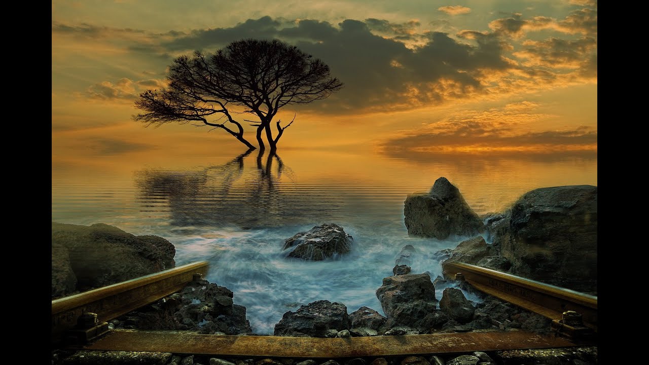 Reaching a Higher Vibrational State Means...Anything is Possible - YouTube