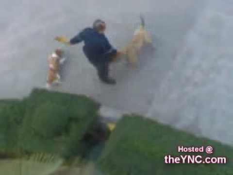 Dog Goes on Attack! The YNC.com.flv - YouTube