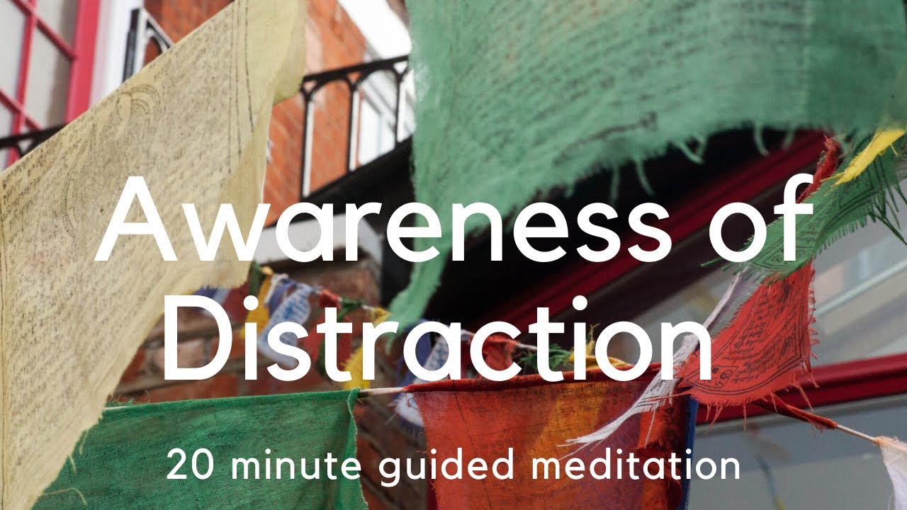 Guided Meditation to Maintain Awareness of Distraction | Subhadramati ...