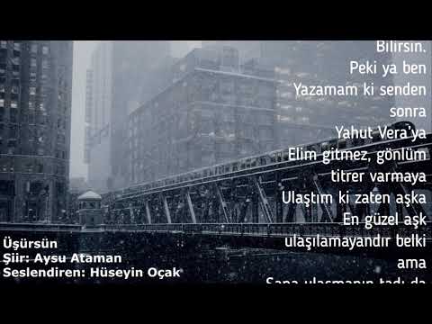 Aysu Ataman - Üşürsün