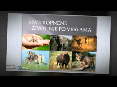 STVARANJE SVETA