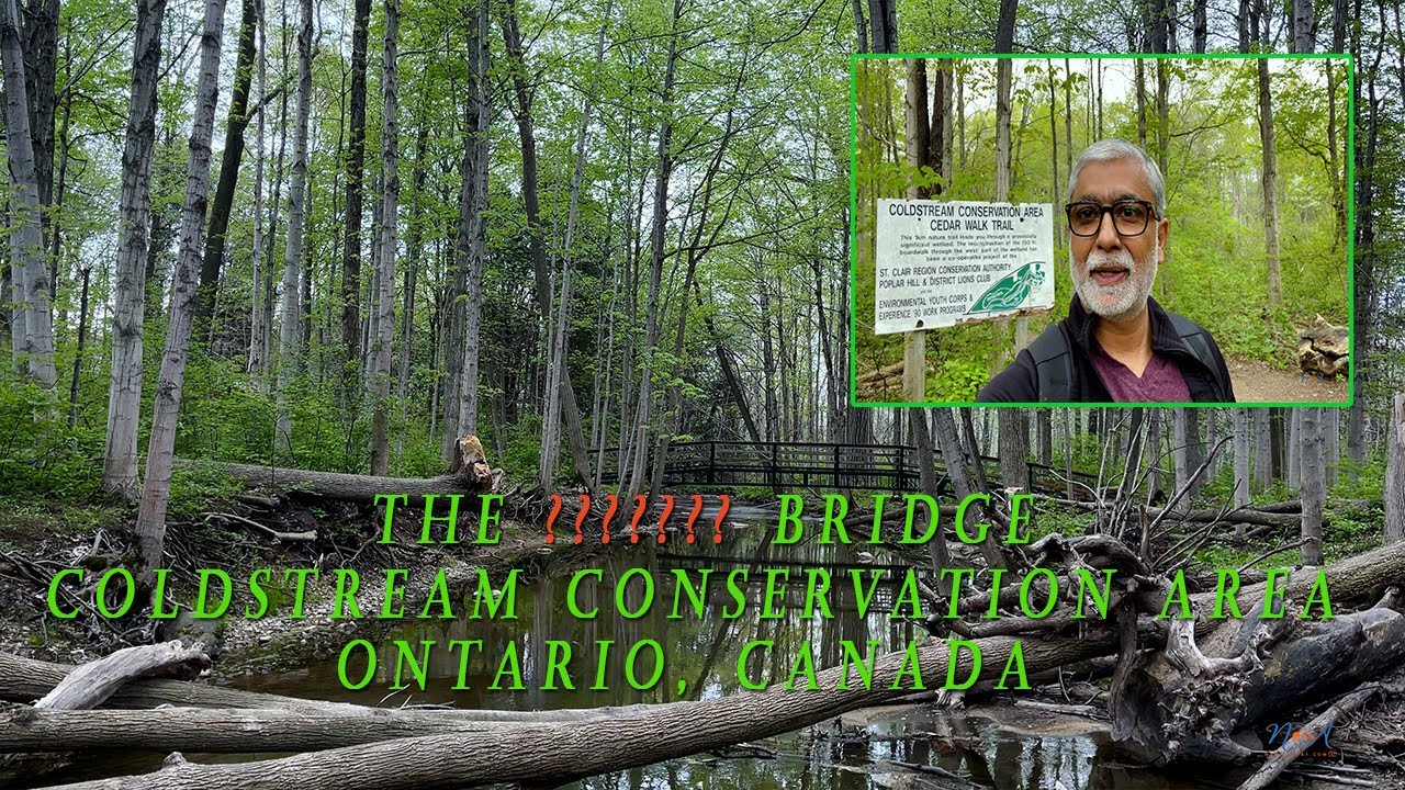 4K Spring Nature Walk Accompanied by Birds Song | Coldstream ...