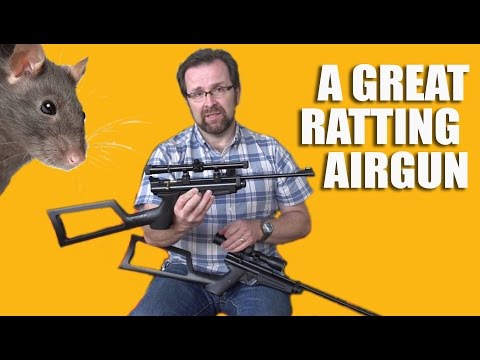 Great Ratting Luftgewehr