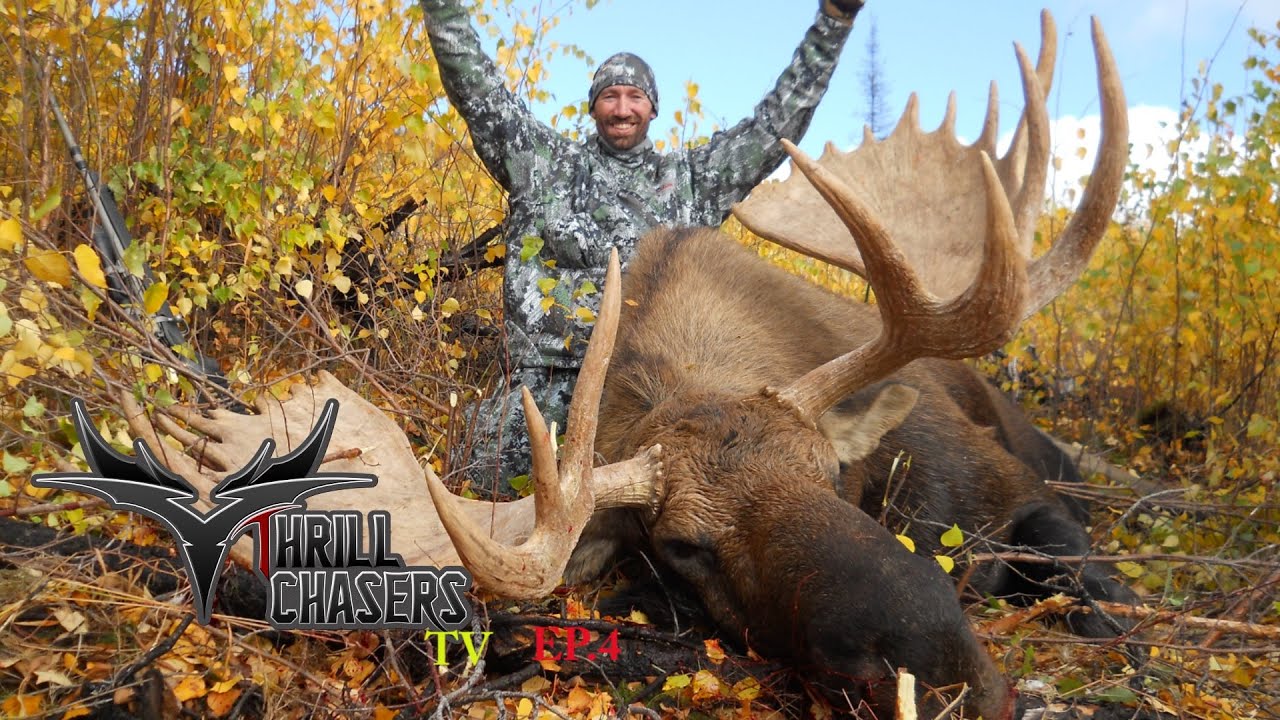Giant Alaskan Moose Hunt~ Thrill Chasers TV Ep 4 - Dream Hunt - YouTube