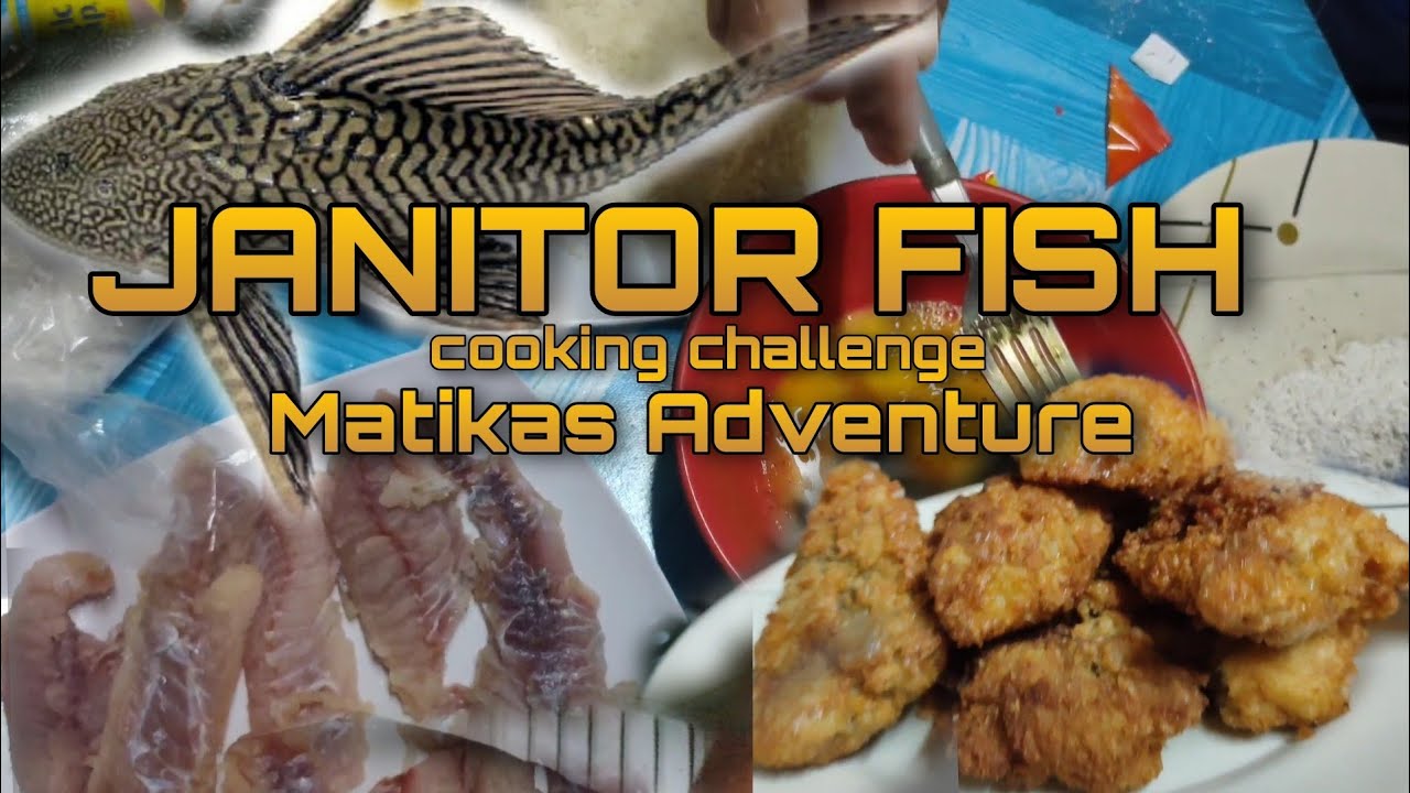 JANITOR FISH cooking challenge [Matikas Adventure] - YouTube