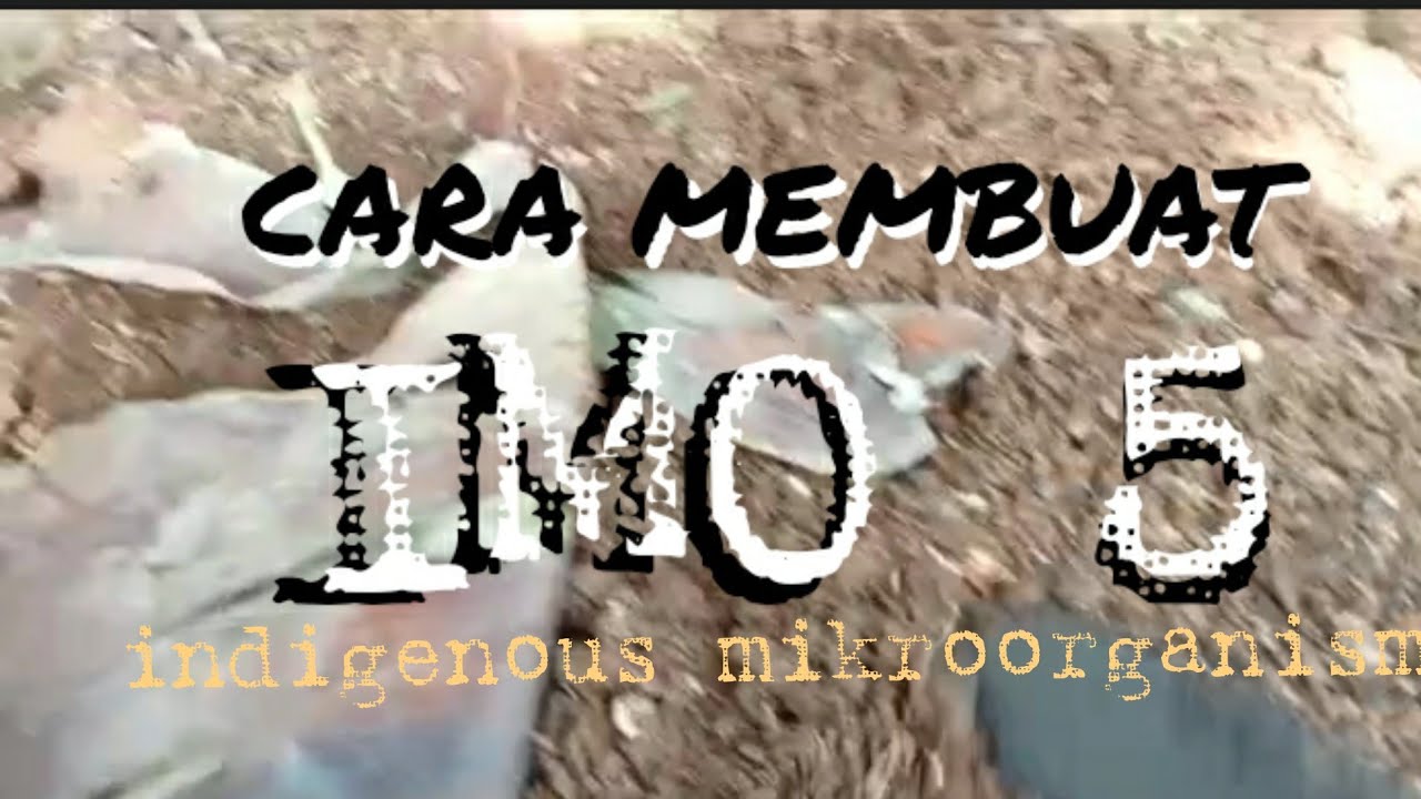 MEMBUAT IMO 5 ala KNF PUPUK HAYATI TANAH SUBUR ANTI PATOGEN#imo1-5knf# ...