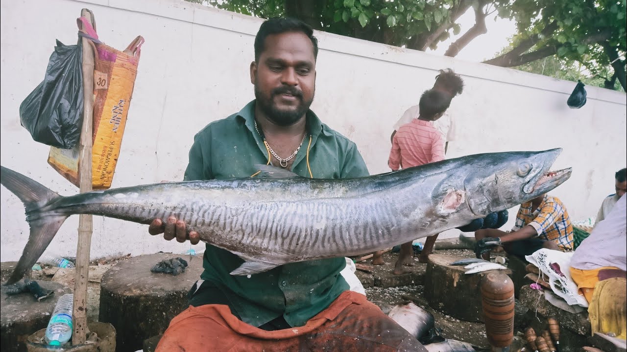 Big vanjiram fish cutting - YouTube