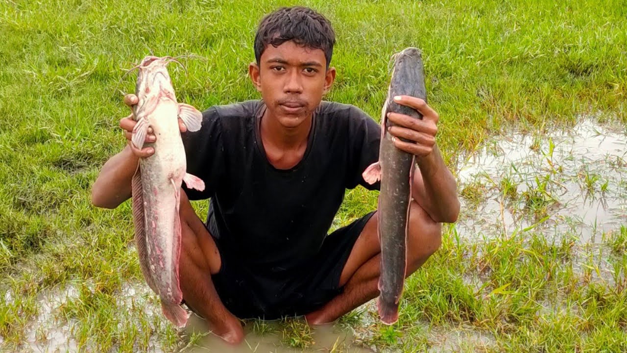 amazing fishing video.Big fish fishing by hand fishing with water ...