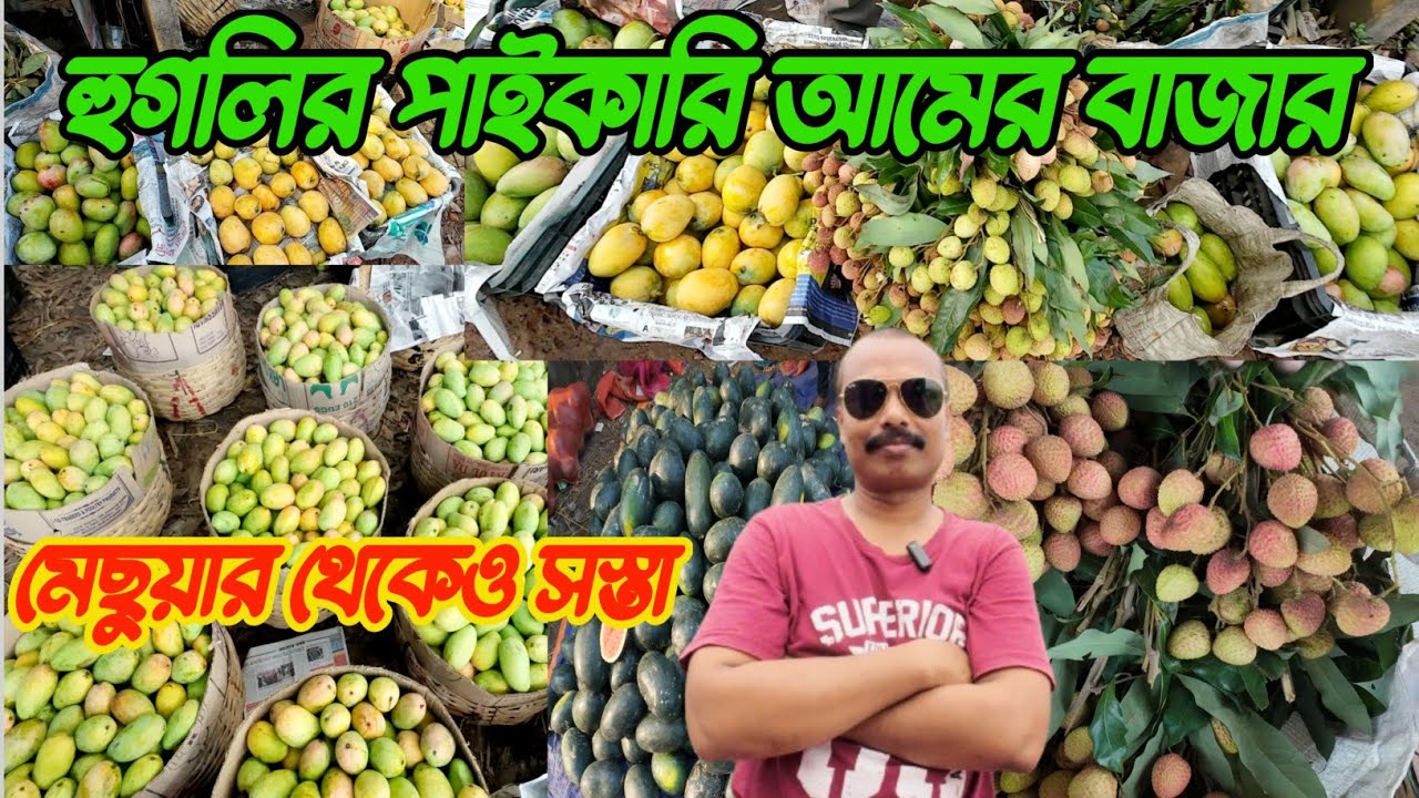 Mango Wholesale Market In Kolkata | Gotu Wholesale Mango Market ...