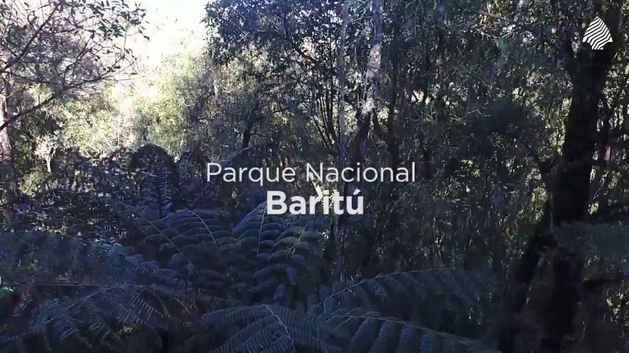 Parque Nacional #Baritú - YouTube