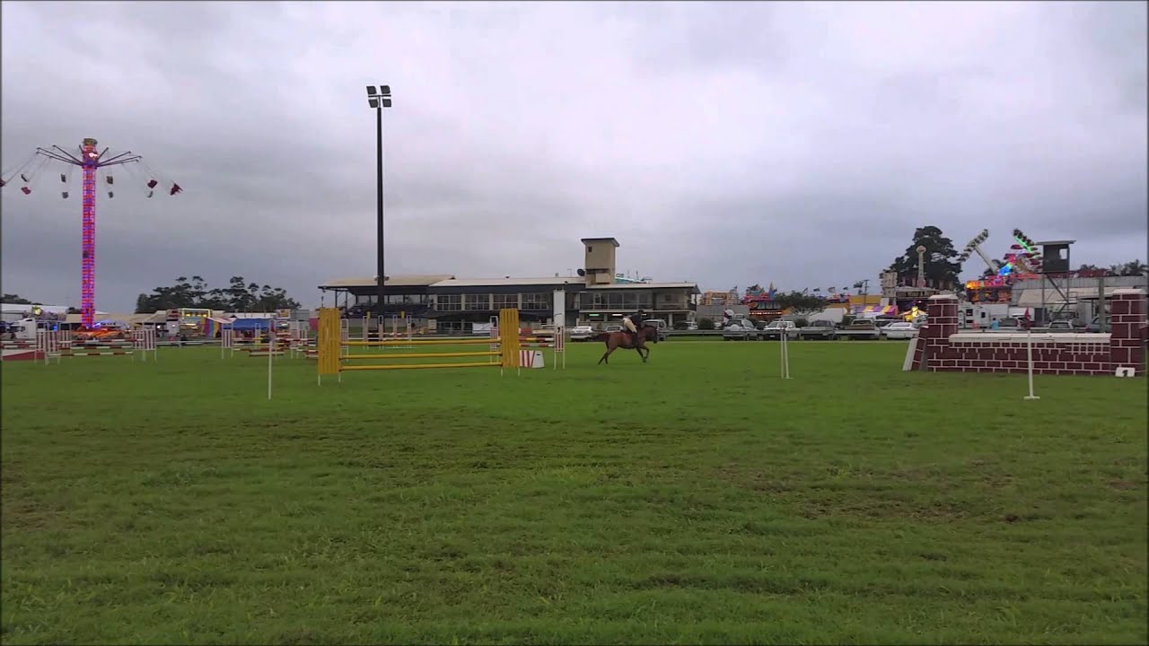 Sugarbag Red Impressions & Rebecca Henry Innisfail Show 2015 - YouTube