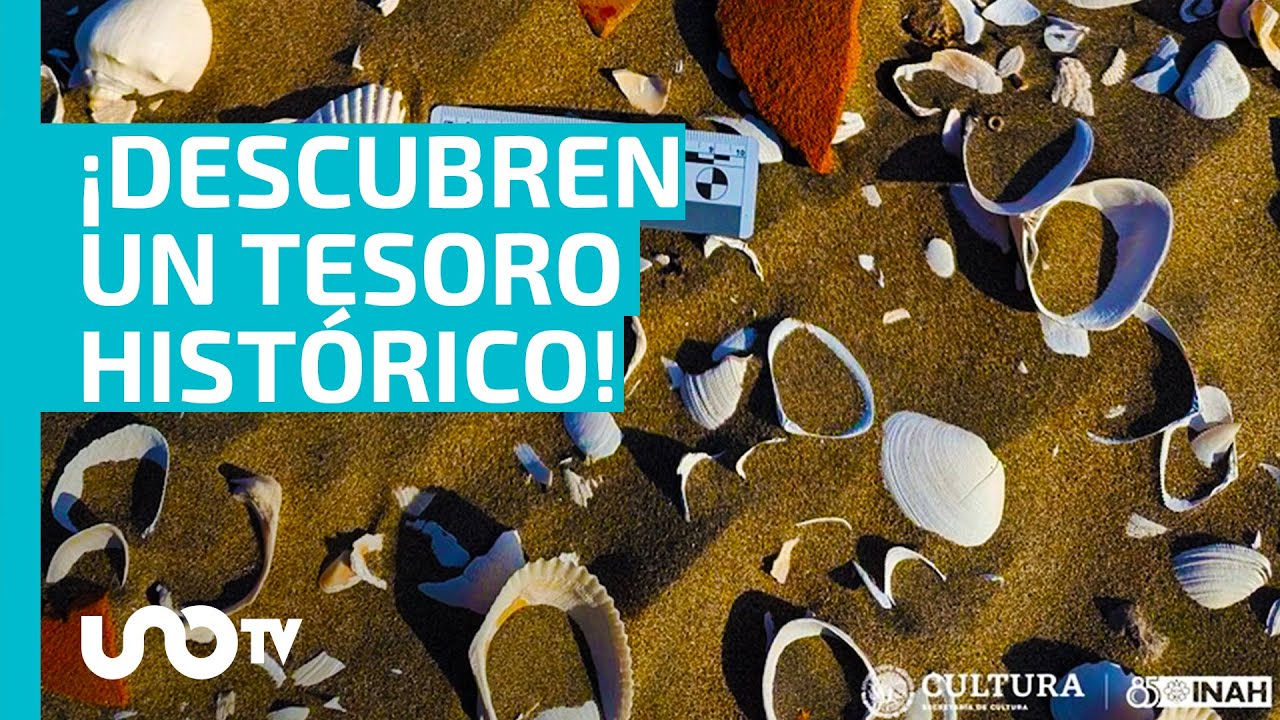 Tesoros ocultos: descubren montículos prehispánicos de conchas en la ...