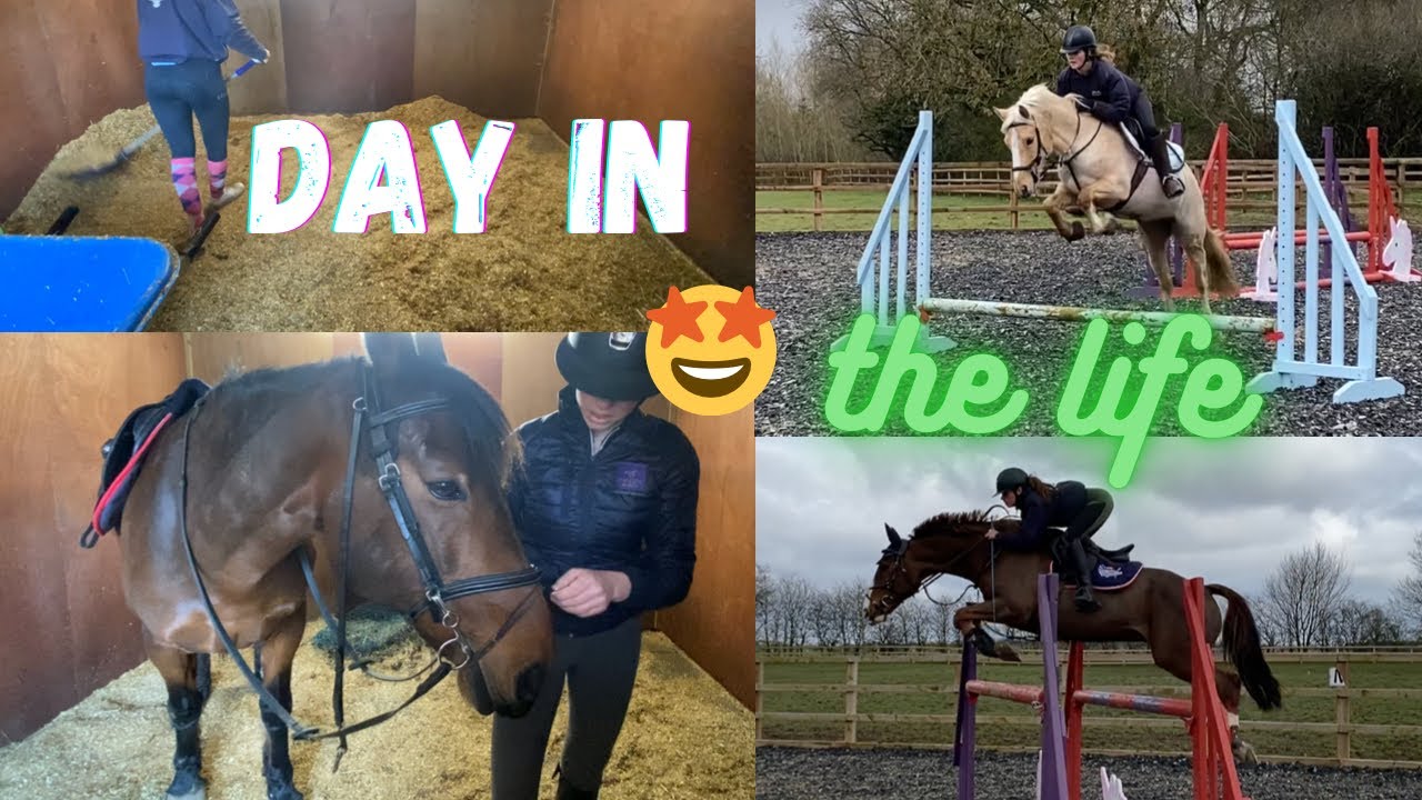 DAY IN THE LIFE | Big jumping vlog again!!! - YouTube