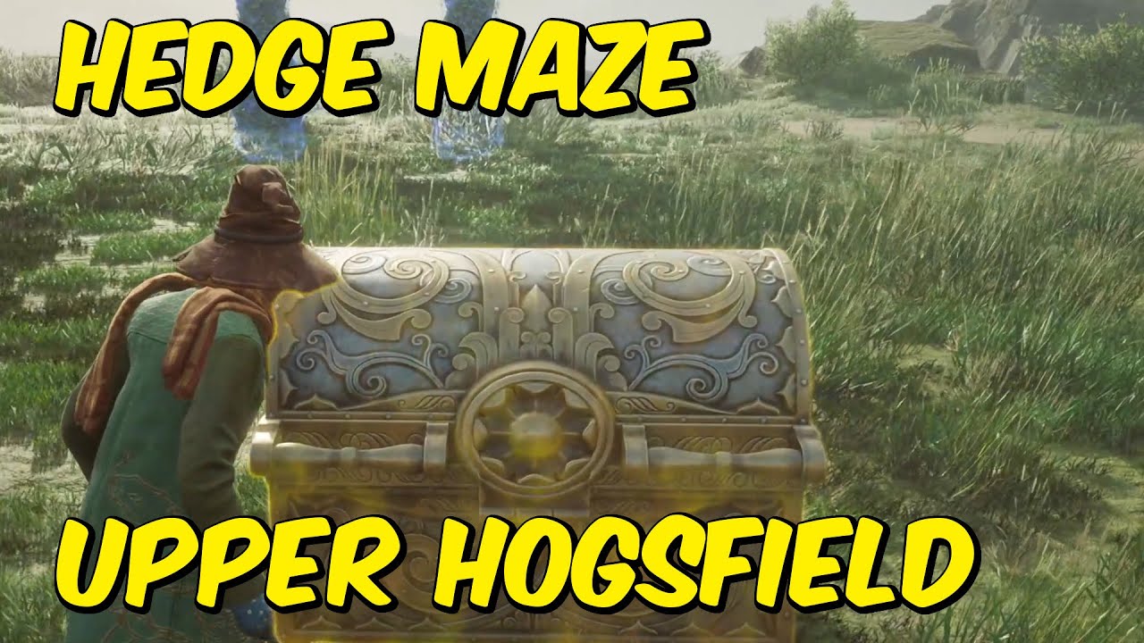 Hedge maze close to Upper Hogsfield - Hogwarts Legacy - YouTube