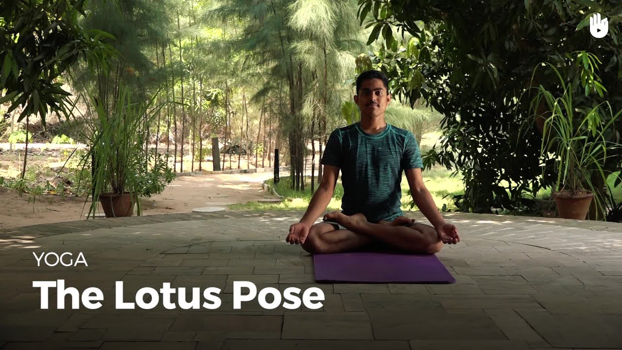 Learn the Lotus Pose - Padmasana | Yoga - YouTube