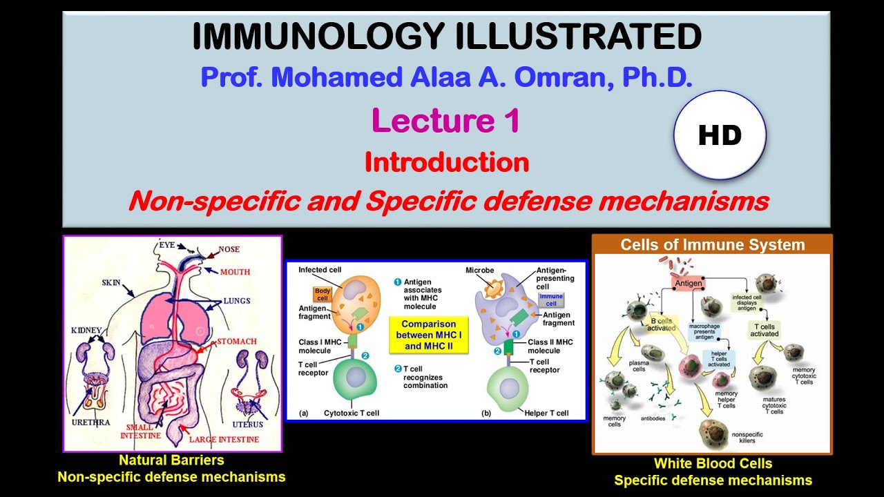Immunology Illustrated Lecture -1- 2020 Video HD - YouTube