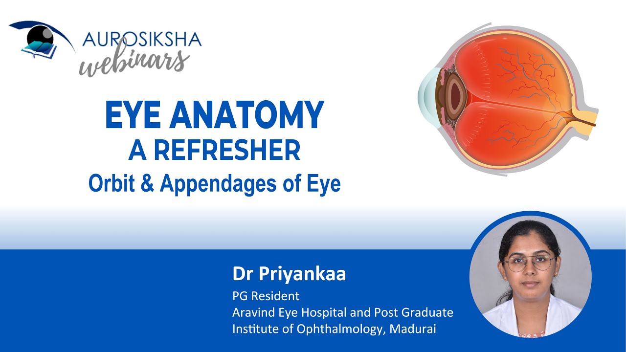 Orbit & Appendages of Eye - YouTube