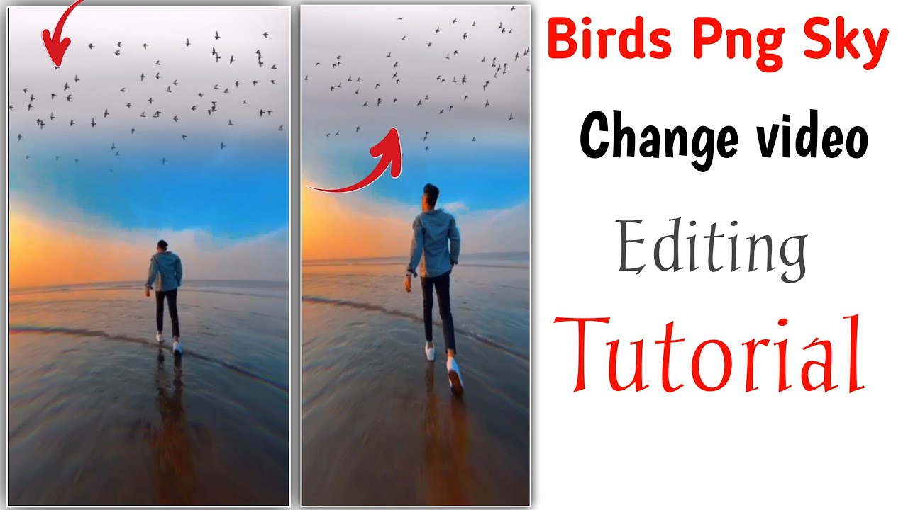 How To Edit Birds Png Video Editing😱🔥 | Trending Reels Editing | Bird ...