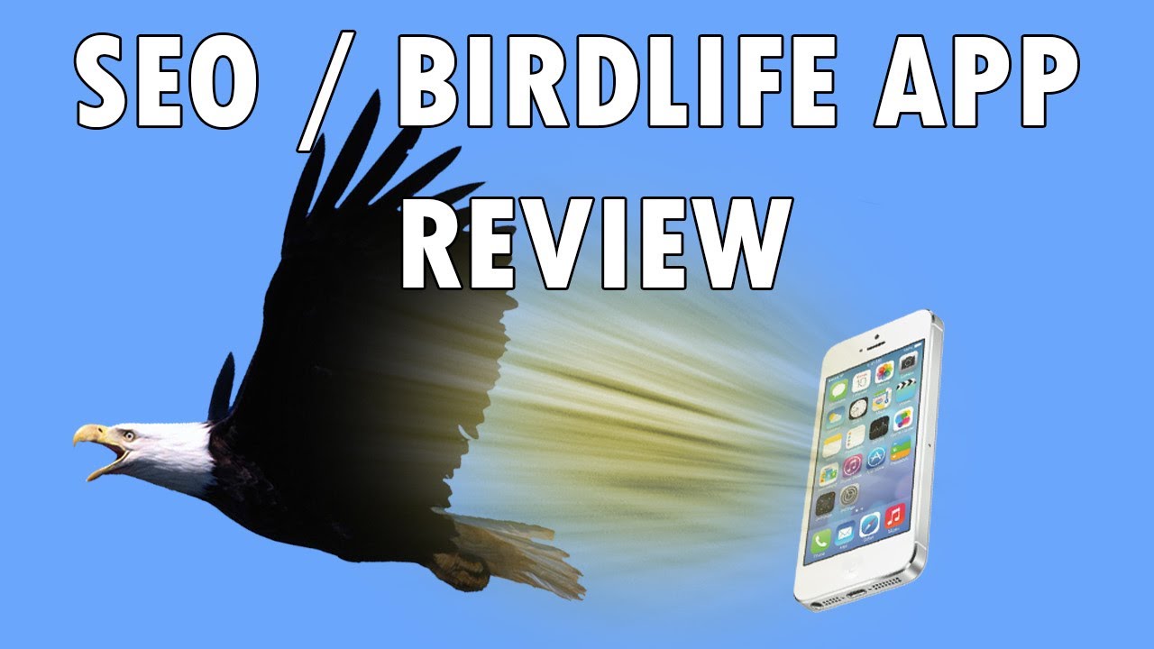 UPA: SEO/Birdlife App review - YouTube