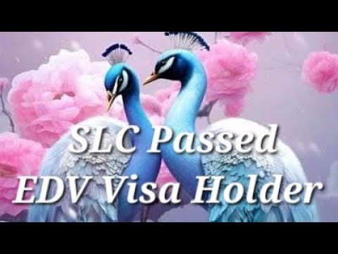 EDV Winner if Only SLC | No Intermediate Level DV Visa Holder - YouTube