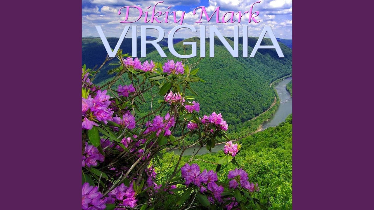 Virginia (Original Mix) - YouTube