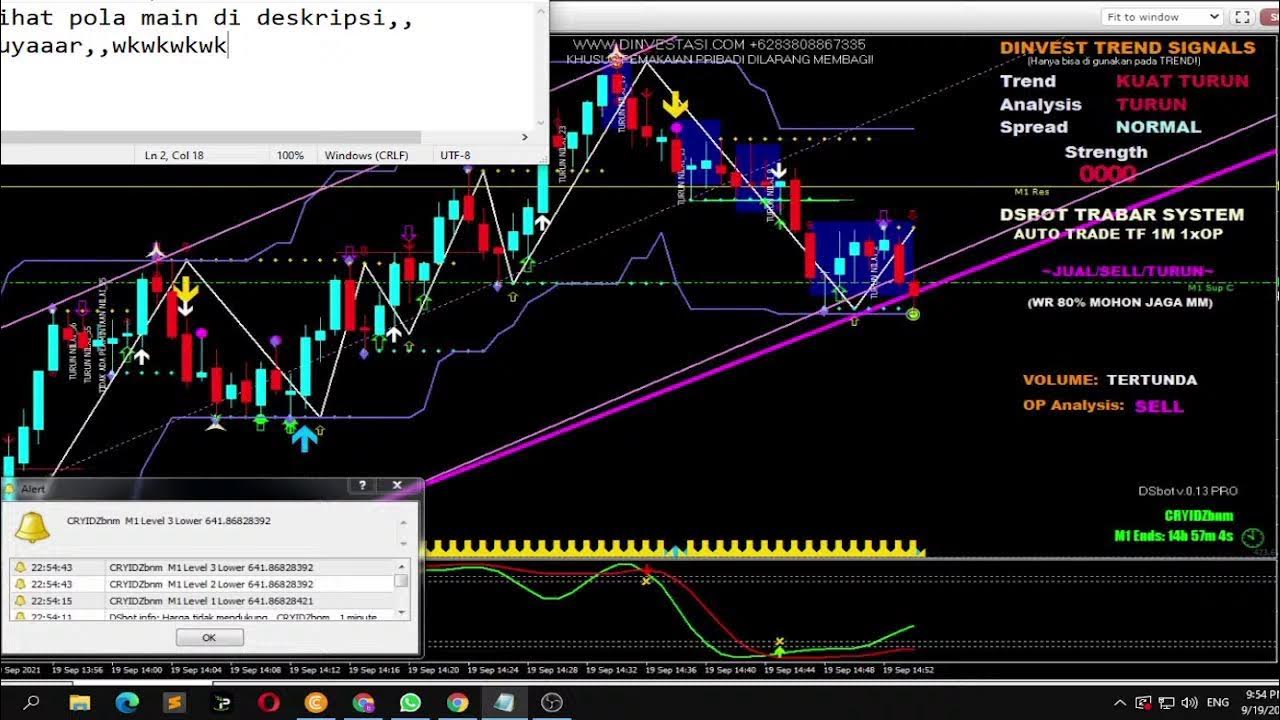 LIVE!! BOT SIGNAL BINOMO CRYPTO IDX - YouTube