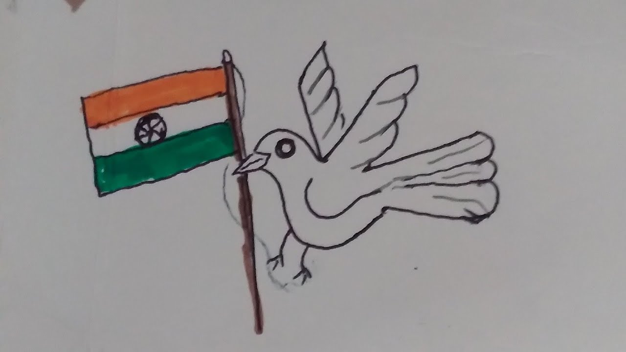 how to draw bird easy leter v bird freedom independay 345k views 2days ...