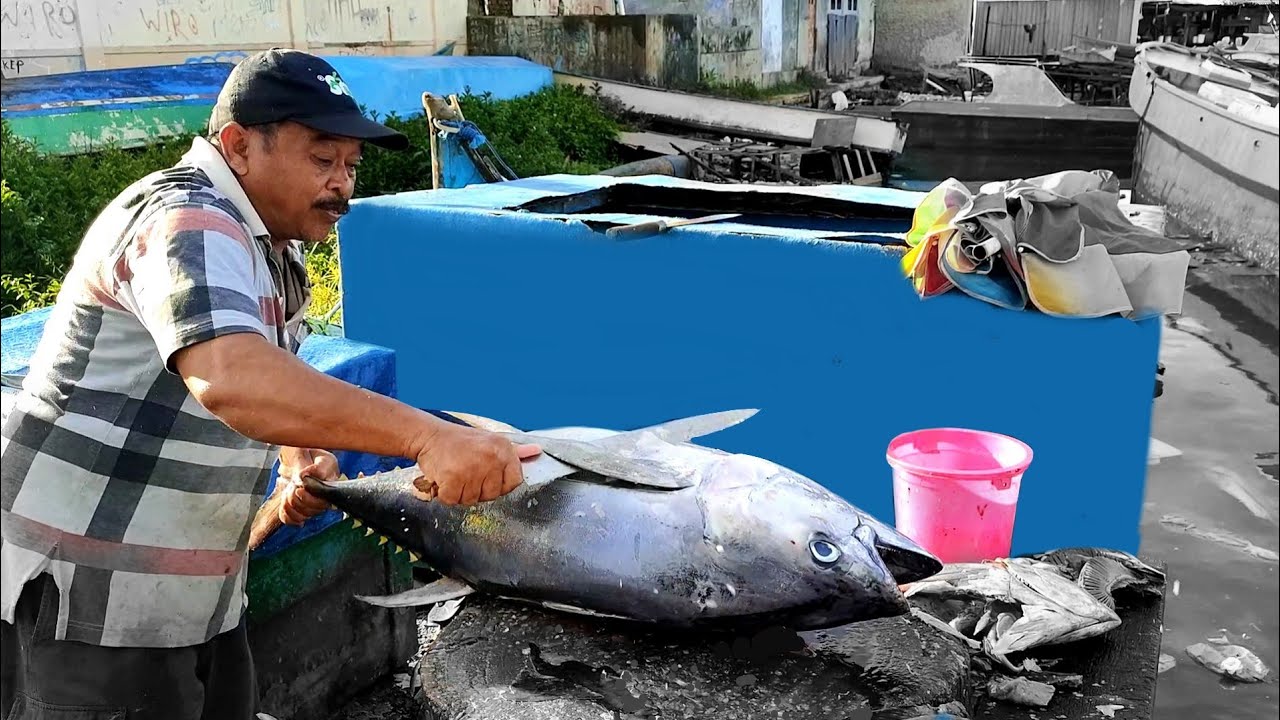World's sharpest tuna knife! Amazing Yellowfin tuna cutting skill ...