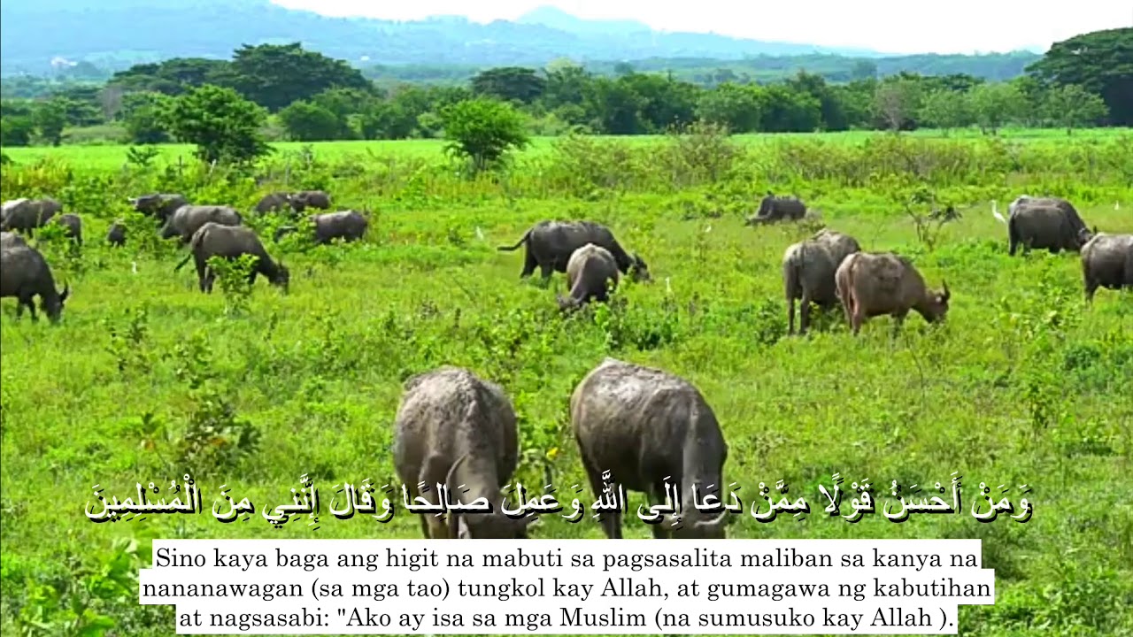 Soothing Voice Recitation with Tagalog translation - YouTube