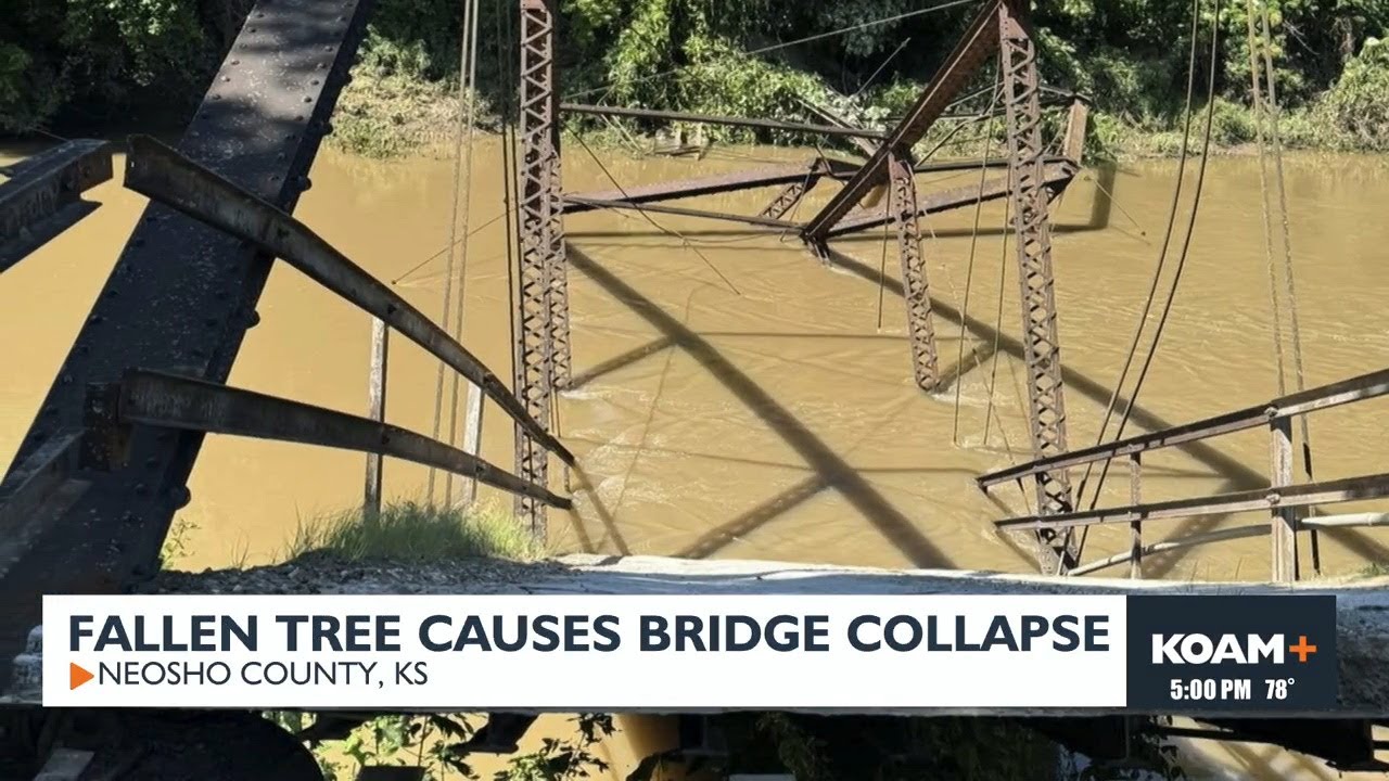 Fallen tree causes bridge collapse - YouTube