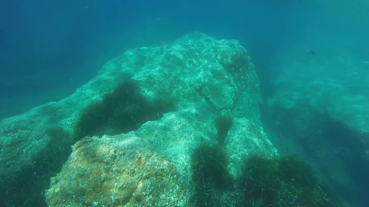 Snorkeling Elba Island 2016 - YouTube