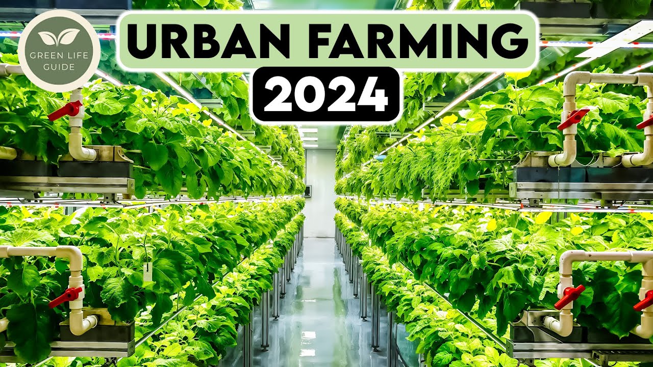 Urban Farming 2024: Innovative Methods to Grow Your Own Food - YouTube