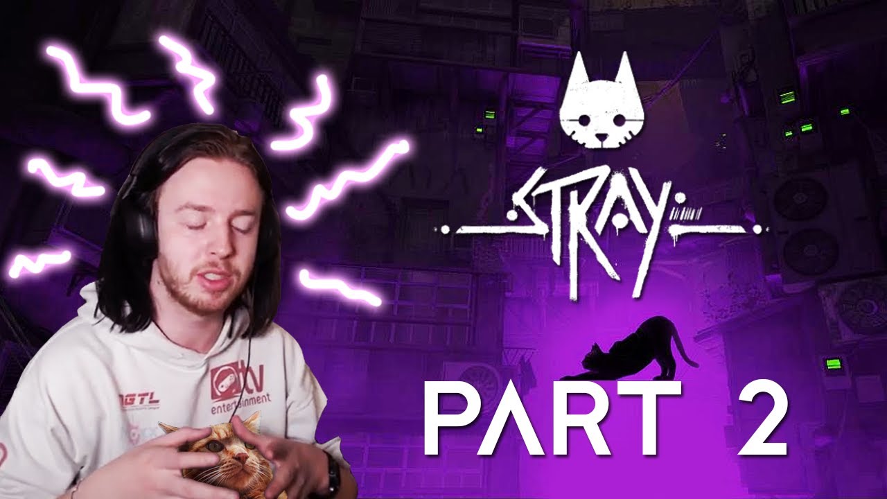 Stray Part 2 | Now it's getting weird! - YouTube