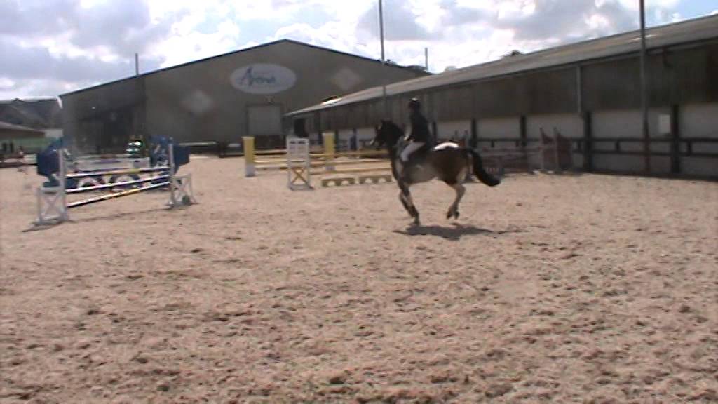 Irish Texas Tom BSJA show jumping Bishop Burton Tom Walker - YouTube