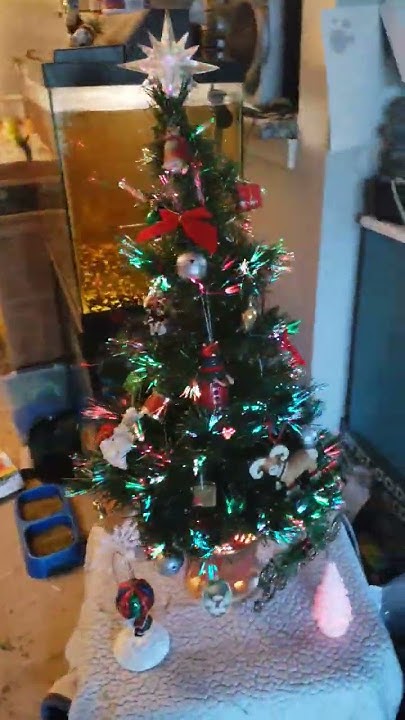 My little Christmas tree 😊 - YouTube