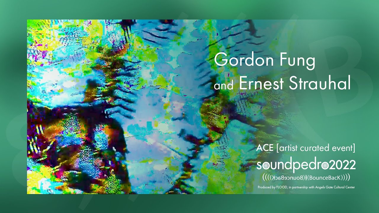 "stream of (un)consciousness" - Gordon Fung and Ernest Strauhal ...